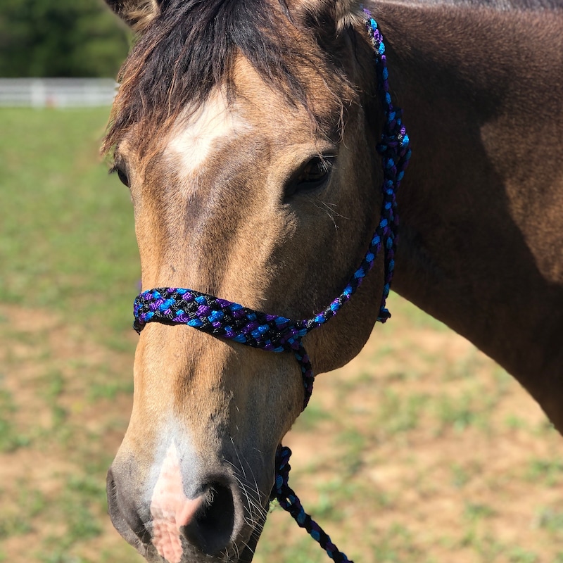 Mule Tape Halter - Etsy