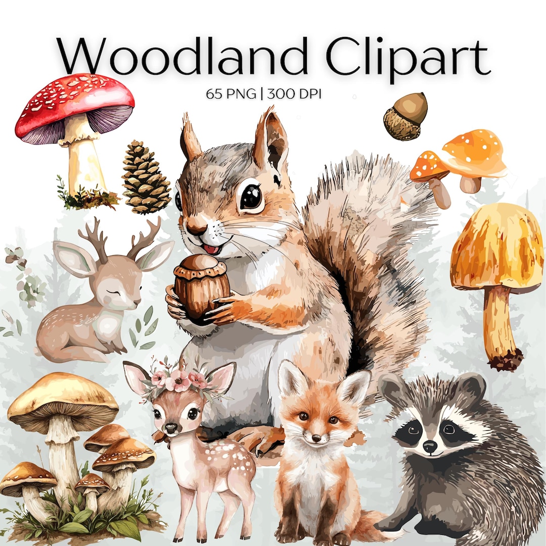 Woodland Clipart, Woodland Clip Art, Woodland Animals, Watercolor ...