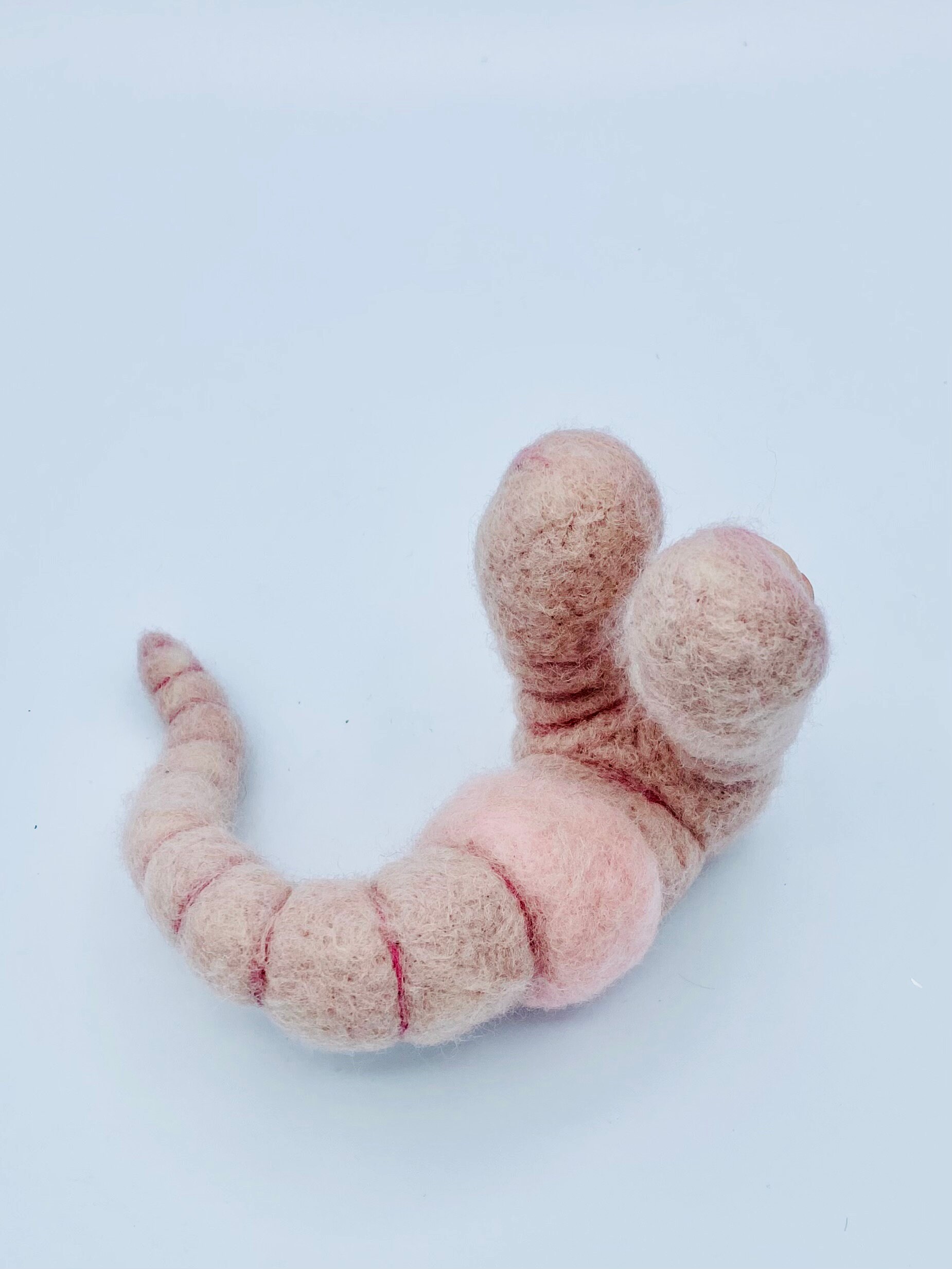 Conjoined Twin Earth Worms, 2 Two Heads Weird Animal Art, Siamese Twin ...