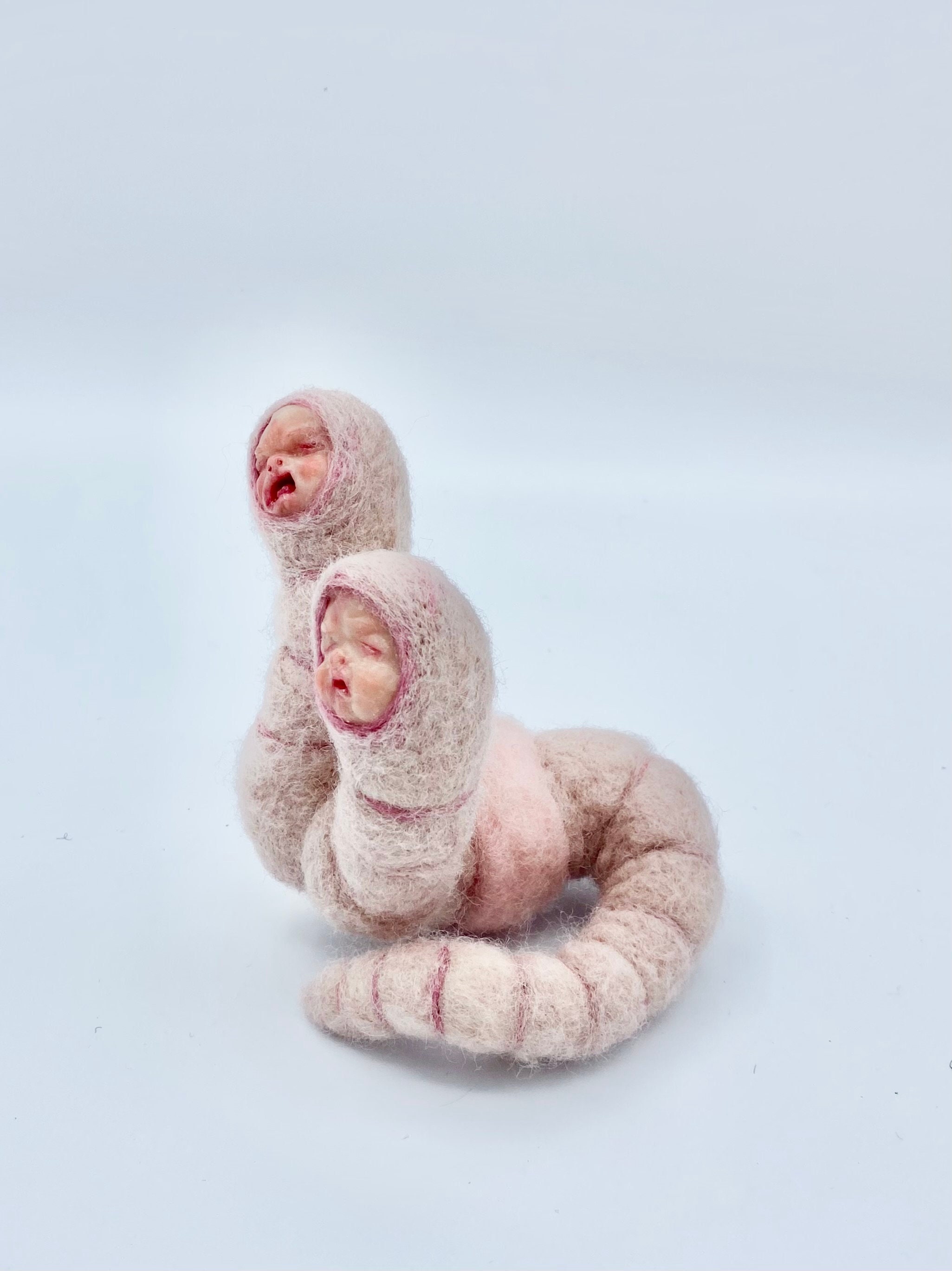 Conjoined Twin Earth Worms, 2 Two Heads Weird Animal Art, Siamese Twin ...