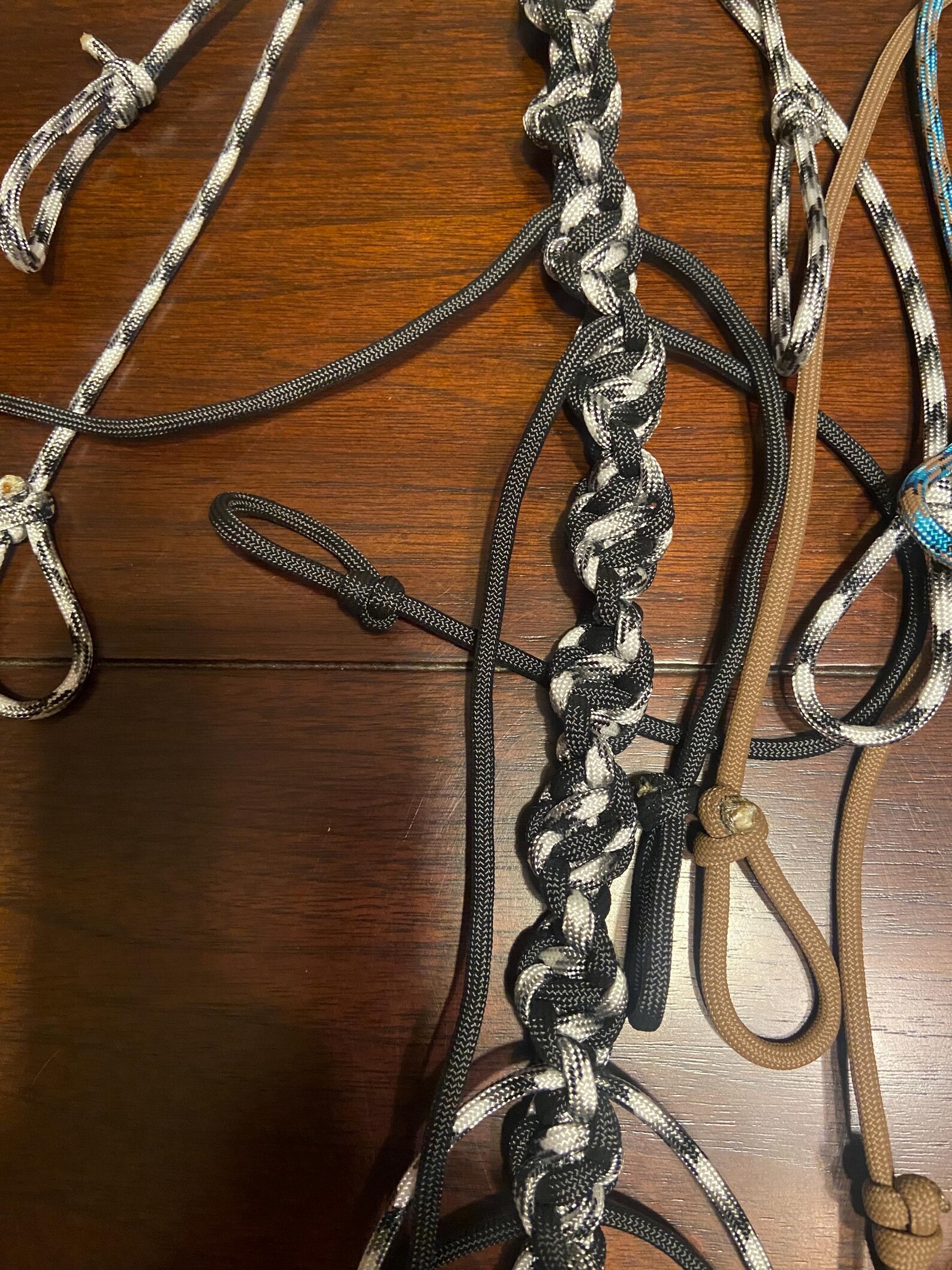 Shed Antler Hanger - Etsy