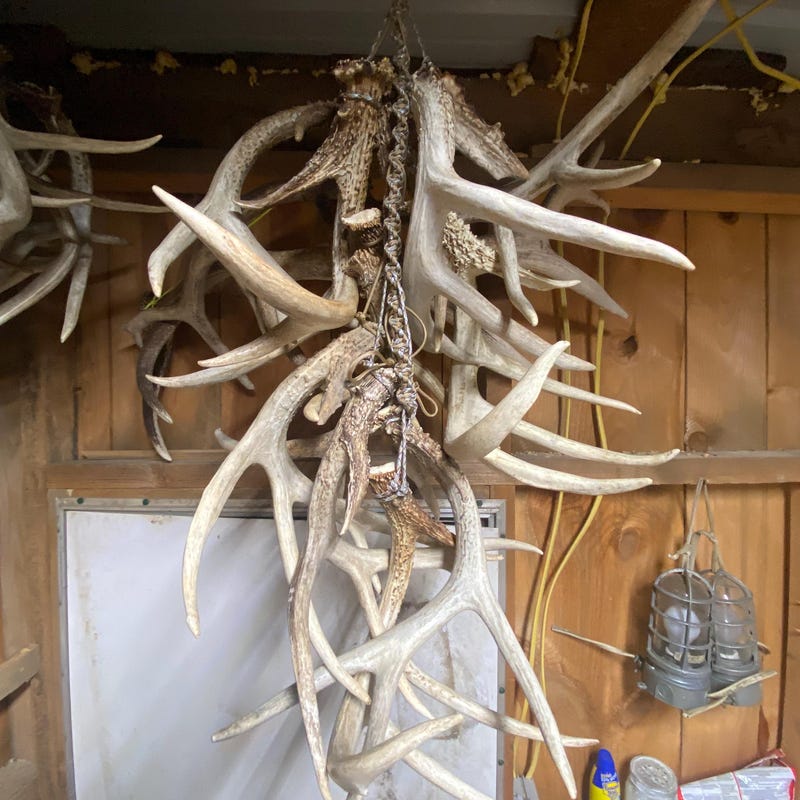 Hanging Antler Display - Etsy