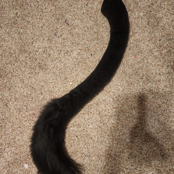 Furry Cat Tail - Etsy