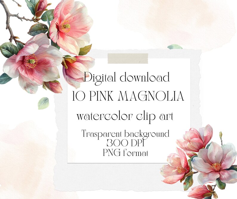11 Watercolor Pink Magnolia Clipart Pack, Spring Flowers Clipart, High Quality PNG, Digital ...