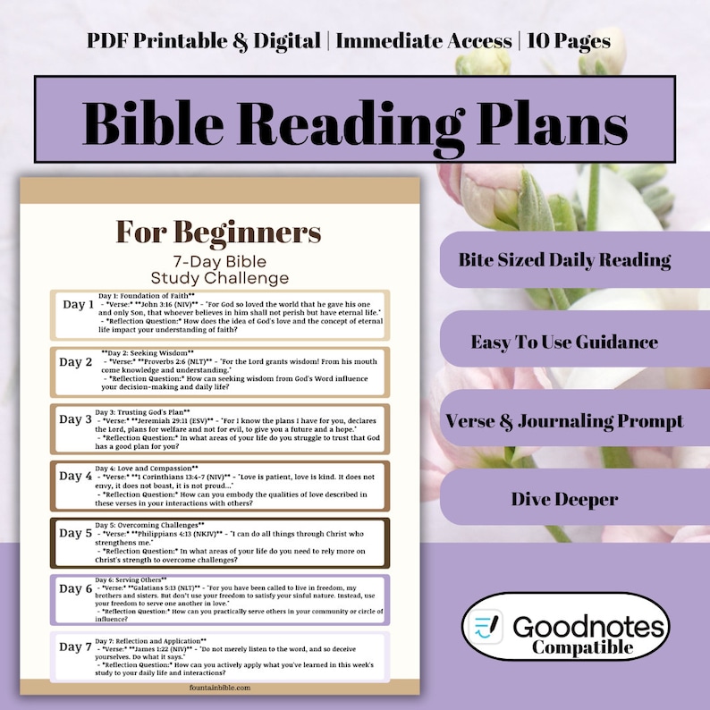 Beginner Bible Study: Daily Verse & Journal Prompts (digital Print) - Etsy