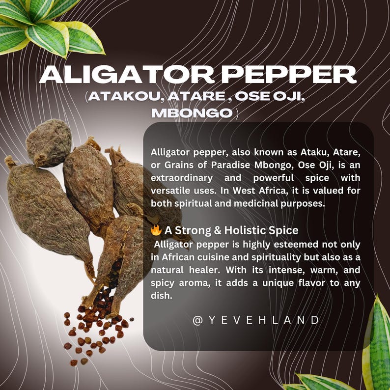Native Alligator Pepper | Atakou, Atare, Mbongo, Ose Oji | Grains of ...