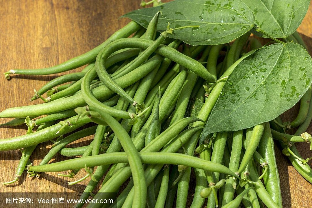 String Less Bean -atlas Long Slim Vegetable Seeds - Etsy