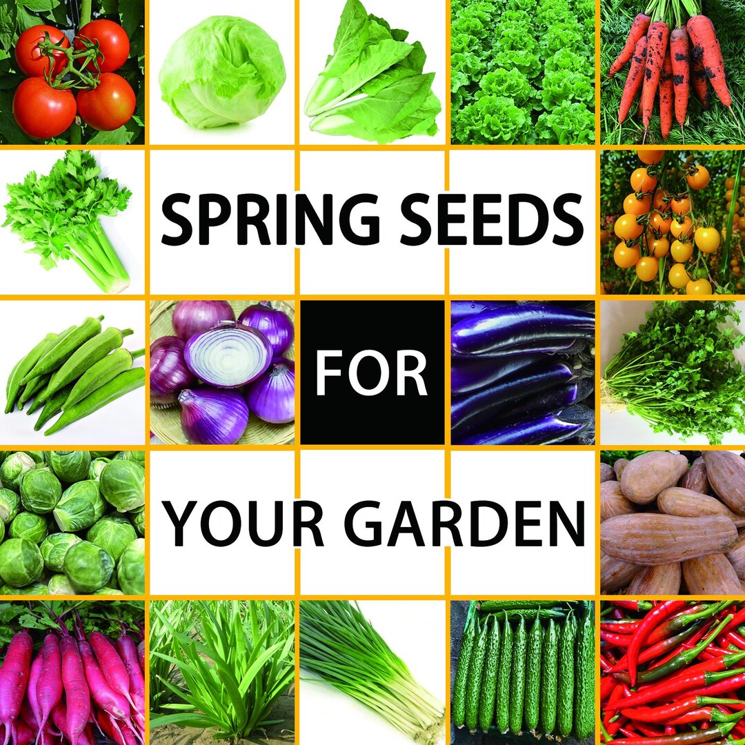 22 Varieties Spring Vegetable Seeds Over 40,000 Seeds - Etsy