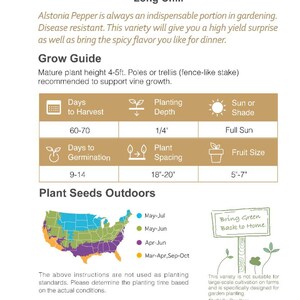 Hot Pepper -long Chili Vegetable Seeds - Etsy