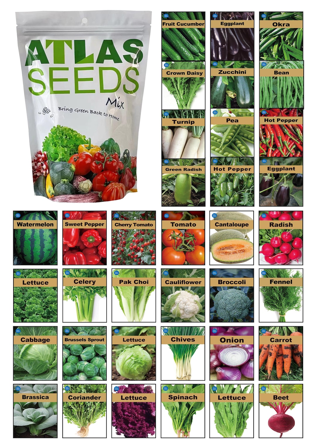 Atlas Vegetable Seeds Survival Garden Kit - Over 50,000 Seeds, 35 ...
