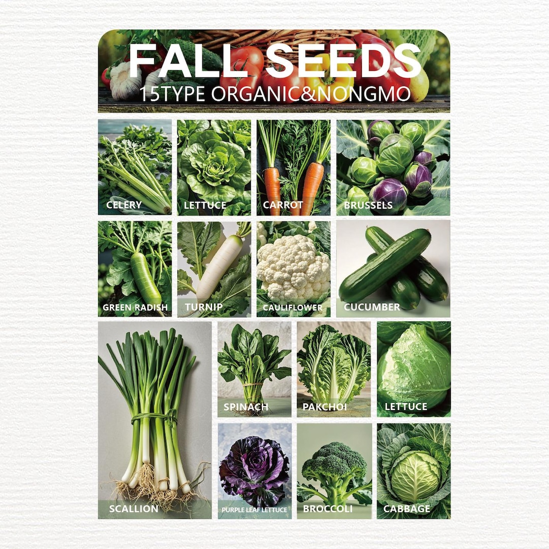 16 Varieties Fall Vegetable Seeds Over 20,000 Seeds - Etsy