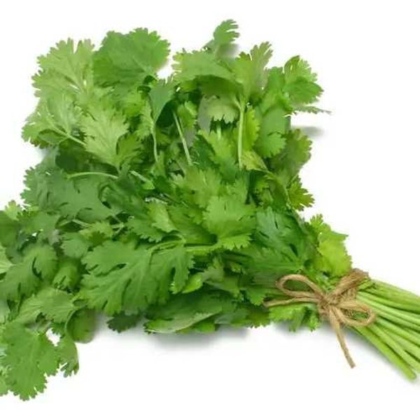 Indian Vegetable Seeds - Etsy