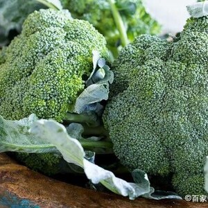Broccoli -autumn Beauty Vegetable Seeds Over - Etsy
