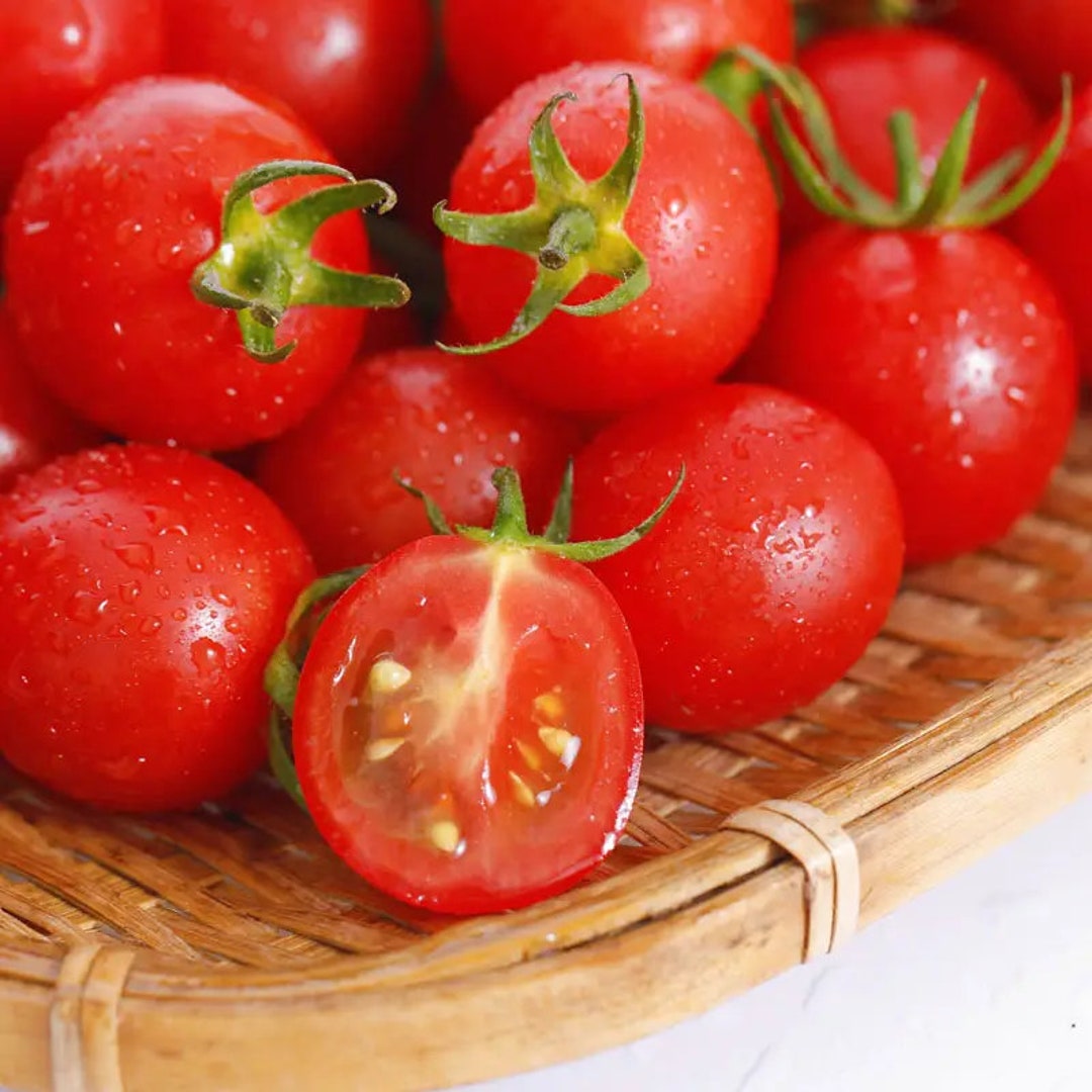 Tomato cherry Ruby Vegetable Seeds - Etsy