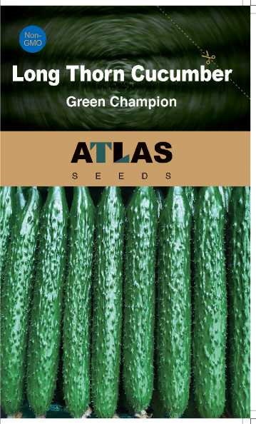 Long Thorn Cucumber -green Champion Vegetable Seeds - Etsy