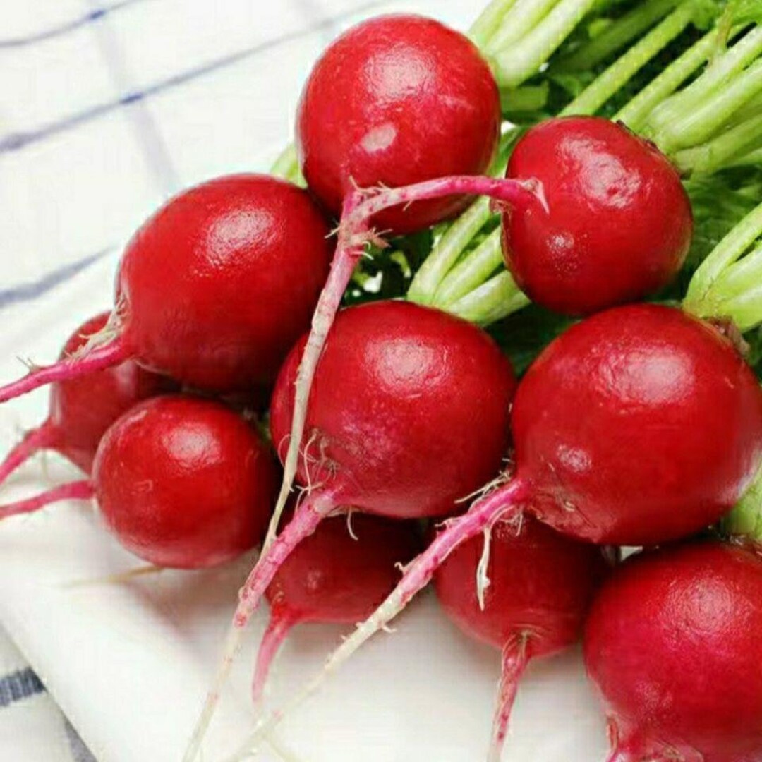 Little Red Radish Seeds - Etsy
