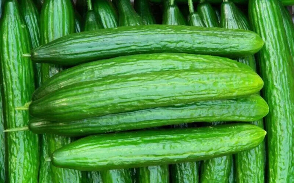 Fruit Cucumber -green Crisp F1 Hybrid Vegetable Seeds - Etsy