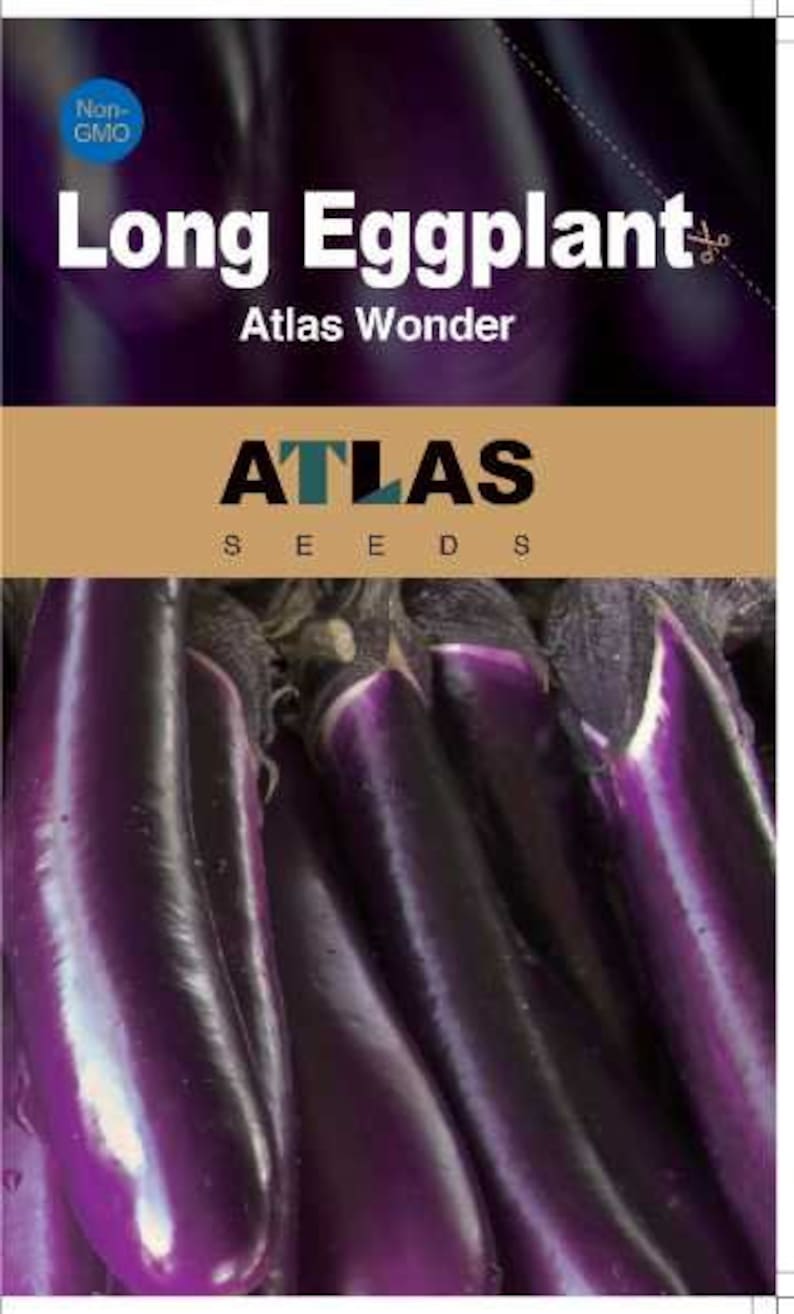 Long Eggplant -atlas Wonder Vegetable Seeds - Etsy