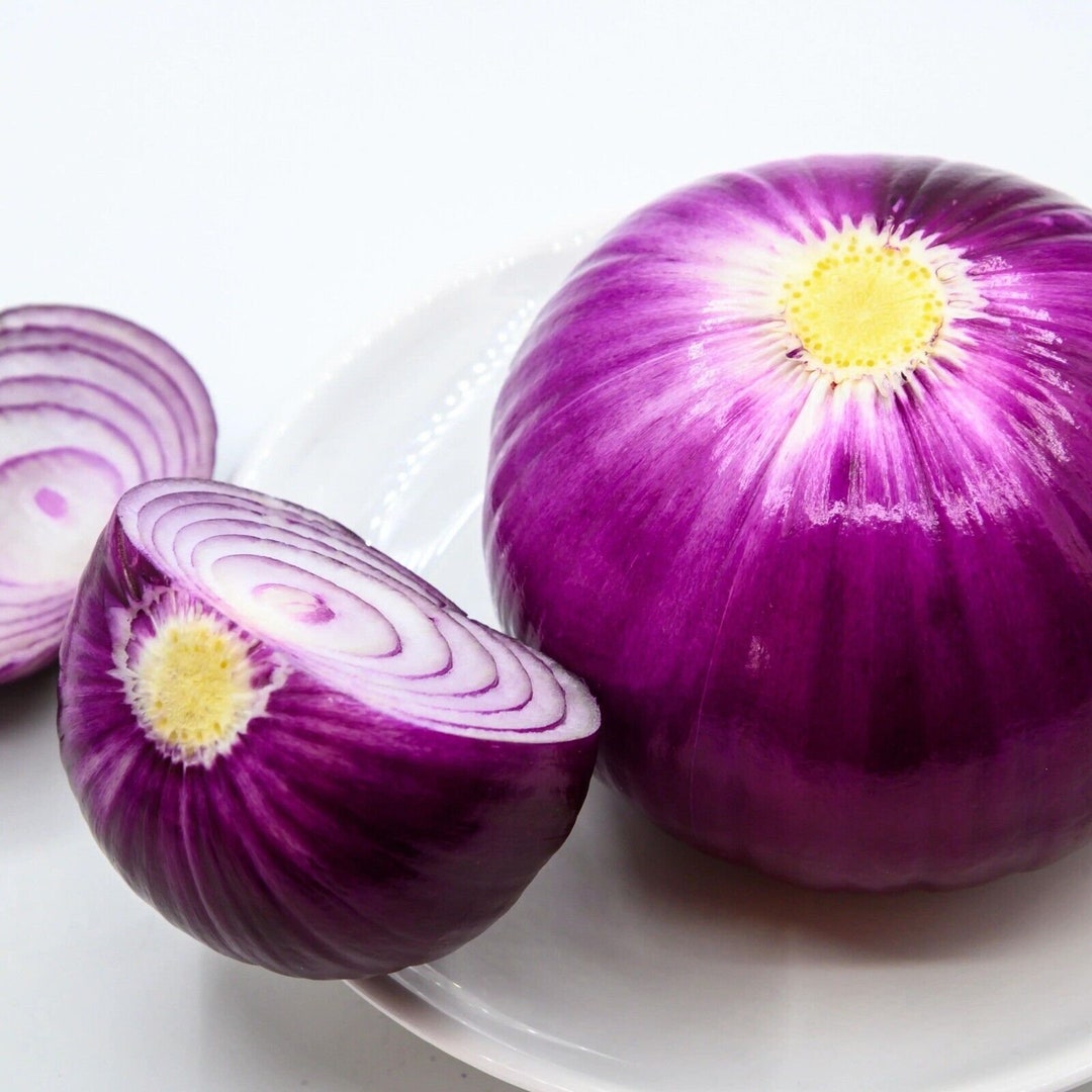 Onion -atlas Layer Vegetable Seeds - Etsy