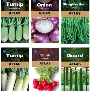 29 Varieties Atlas Vegetable Seeds Survival Garden Kit - Over 50,000 ...