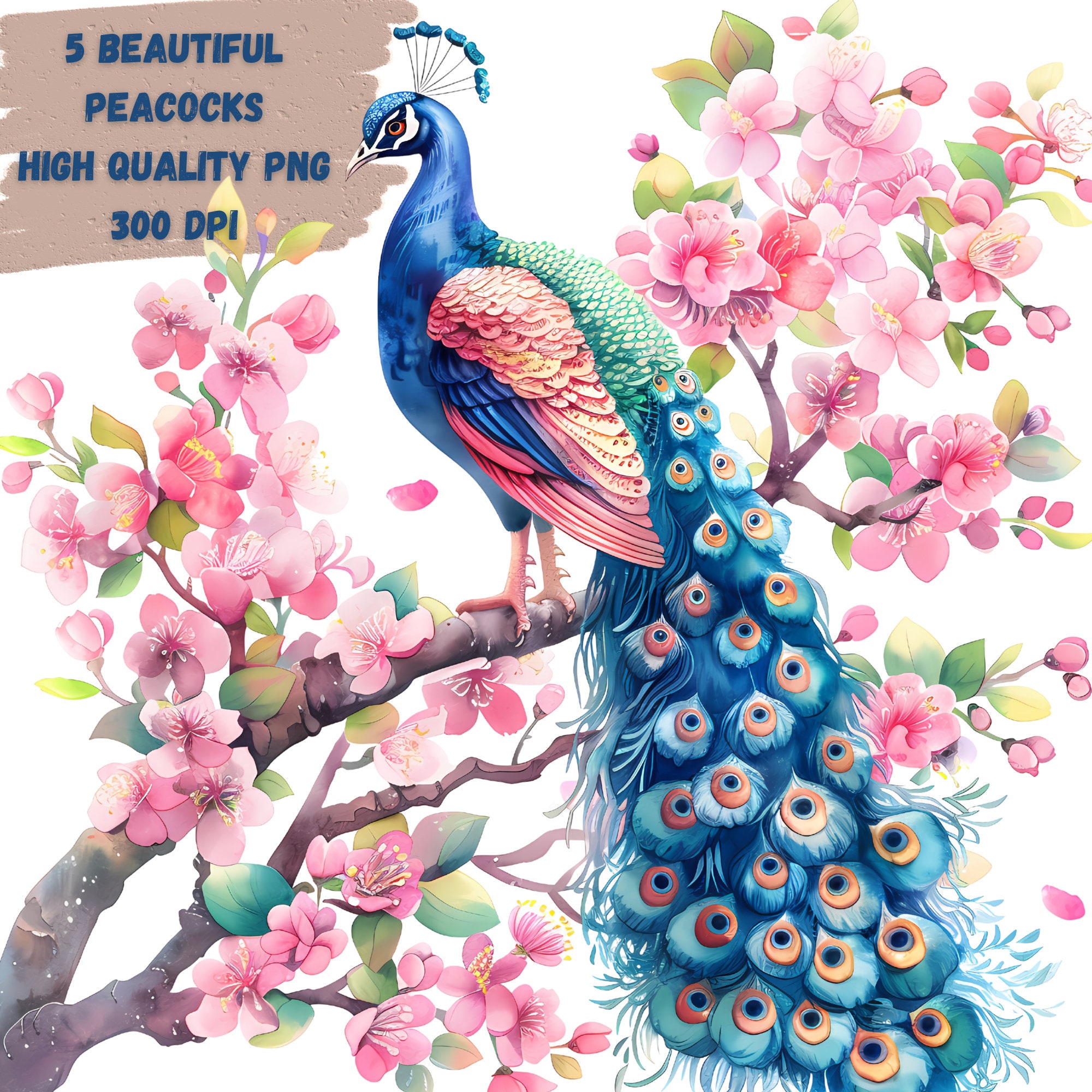 5 Peacock Clipart, Watercolor Peacock, Bird Clipart, High Quality PNG ...