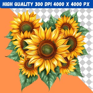 27 Watercolor Sunflower Clipart Summer Flower PNG, Sunflower Decor ...