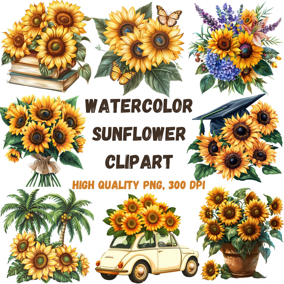 27 Watercolor Sunflower Clipart Summer Flower PNG, Sunflower Decor ...