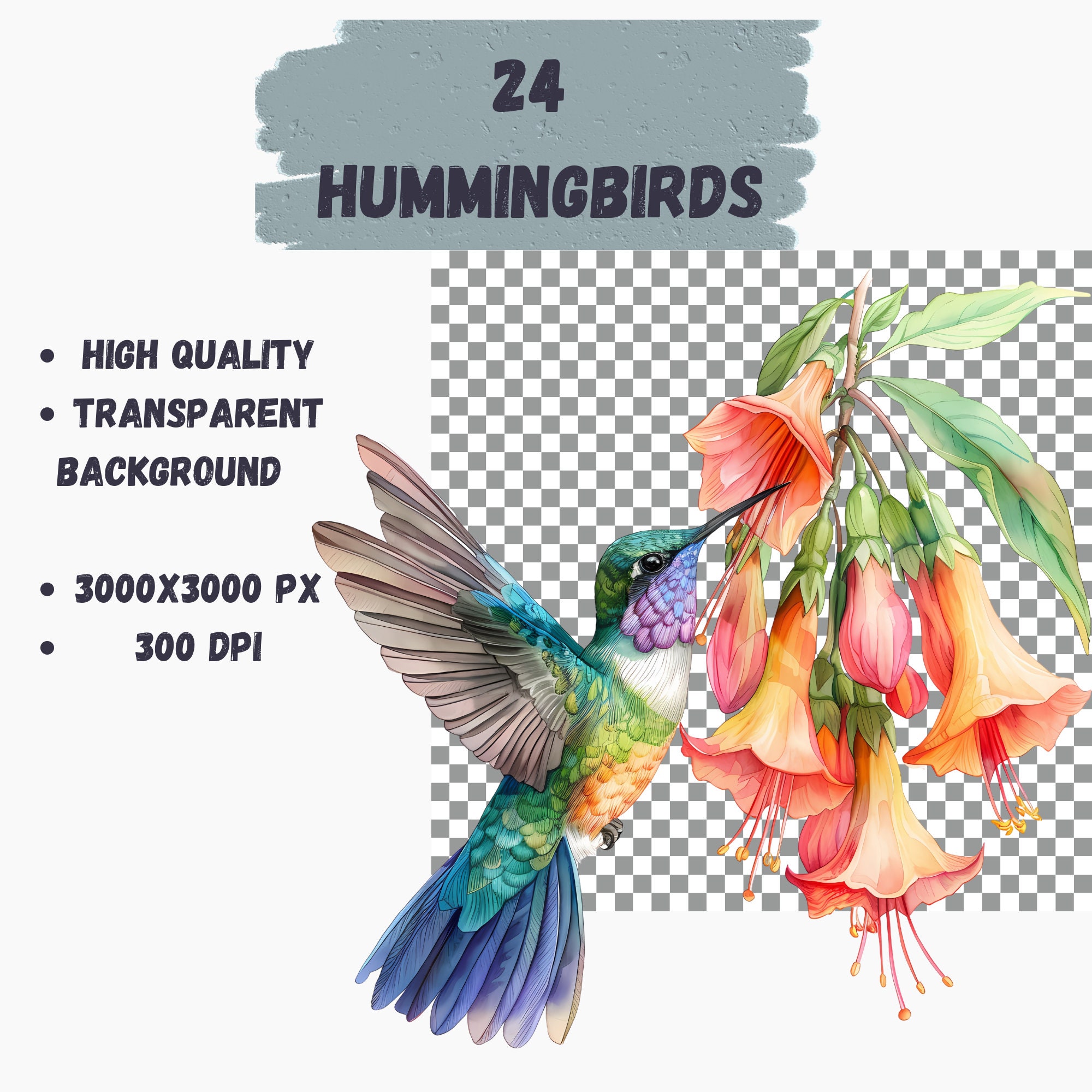 24 Watercolor Hummingbirds Clipart, High-quality Images, Bird Clipart ...