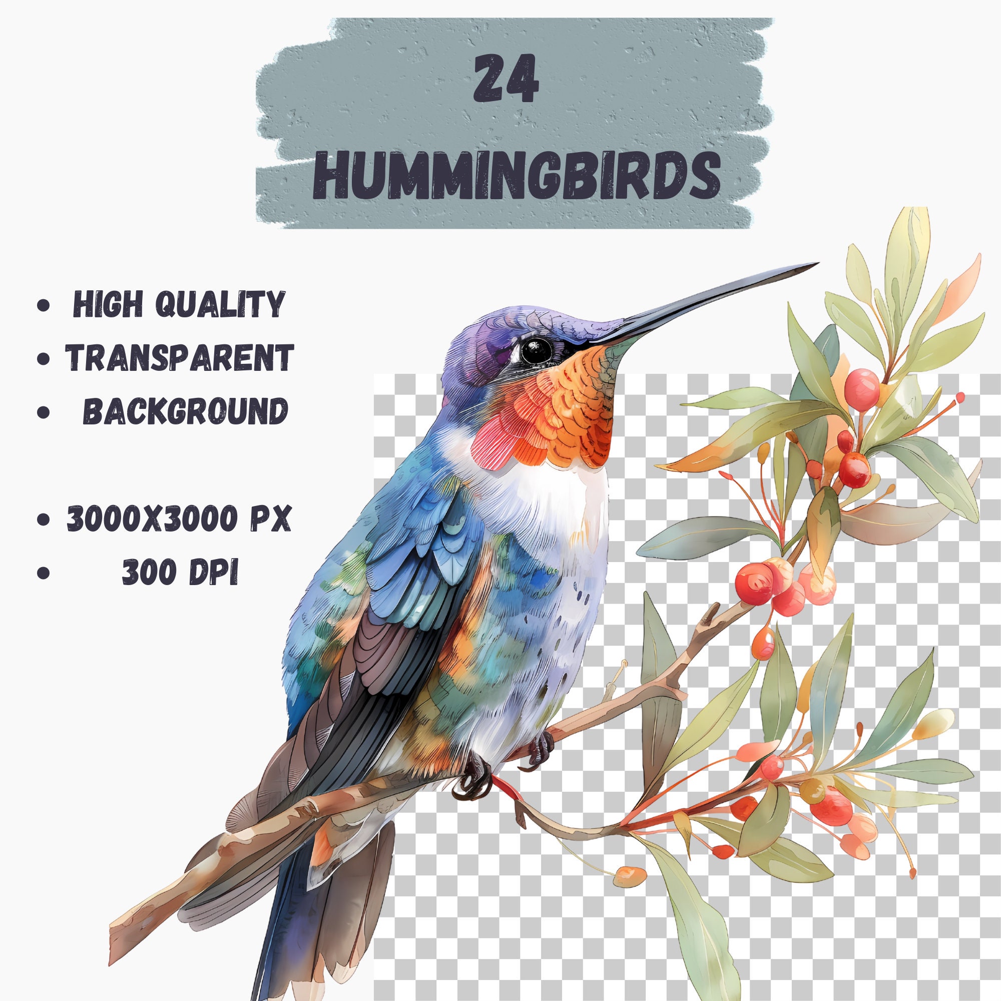 24 Watercolor Hummingbirds Clipart, High-quality Images, Bird Clipart ...