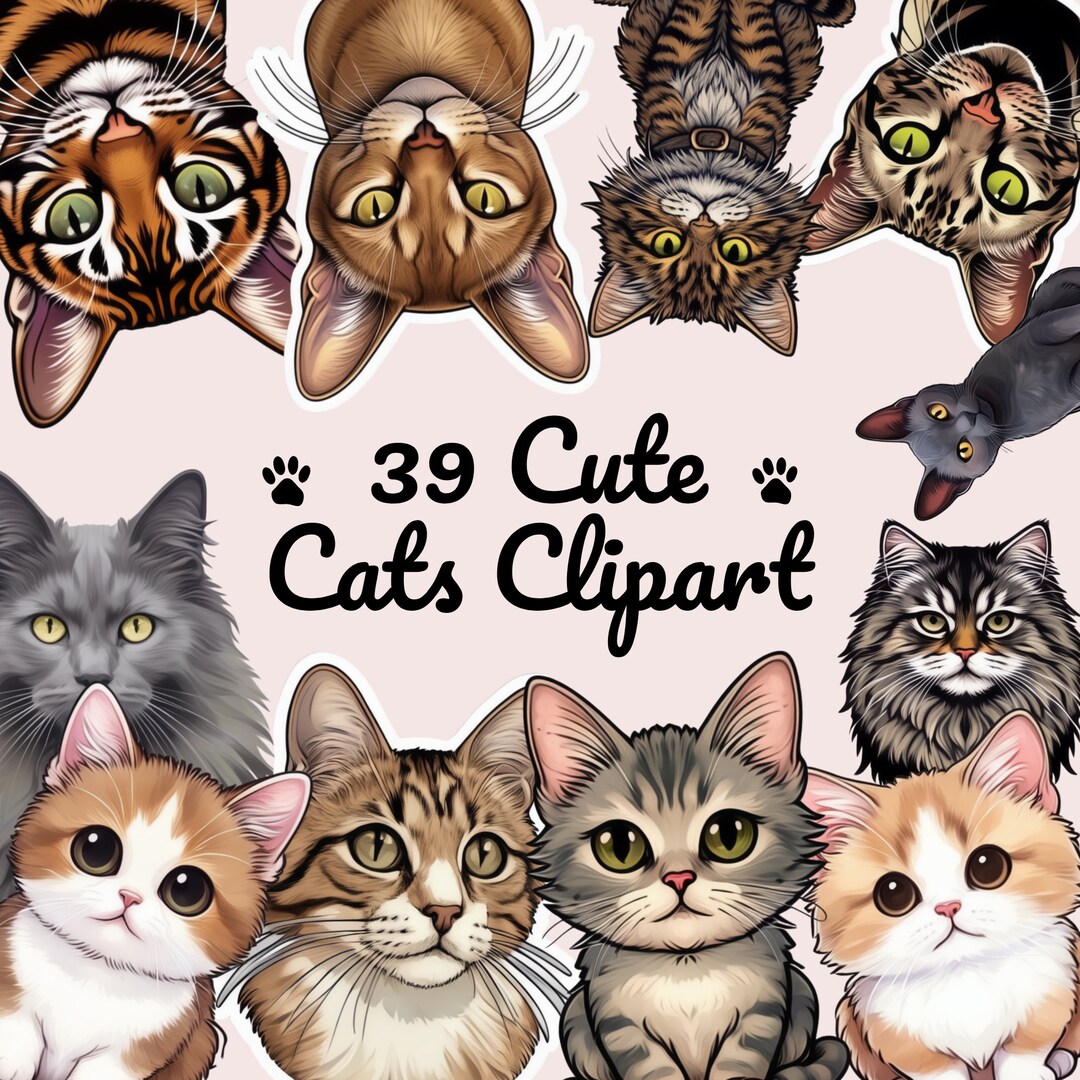 Cat Lover Clipart, Cat Png, Cat Bundle, Cat Digital Clipart, Cat Lover ...