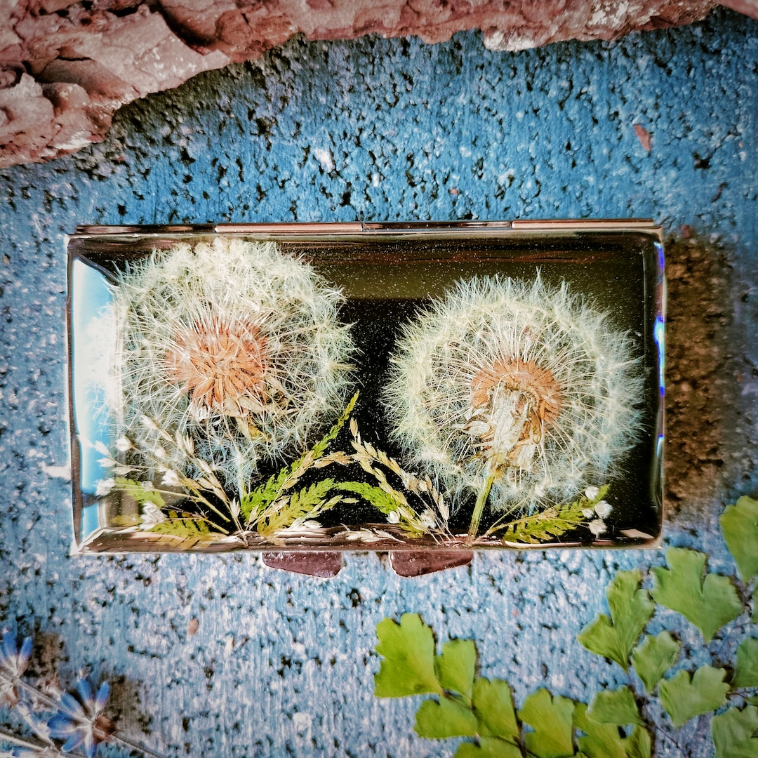 Flower Pill Case With Real Dandelion, Weekly Pill Case, Pill Box, 7 Day ...