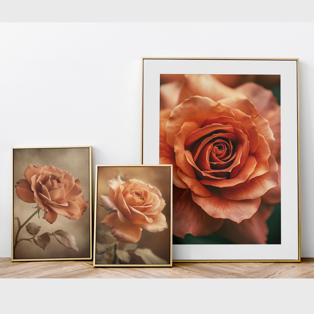 Rustic Orange Rose Digital Art Set - Etsy