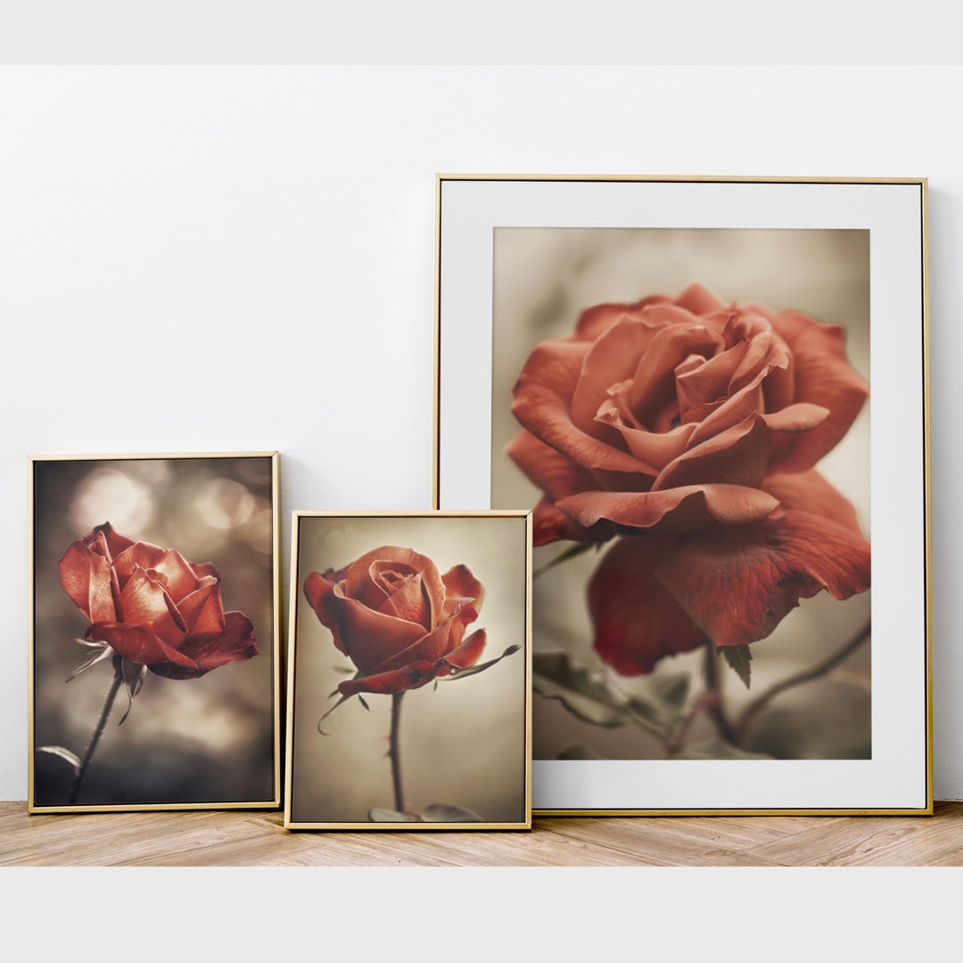 Antique Red Rose Digital Art Set - Etsy