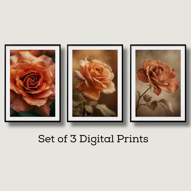 Rustic Orange Rose Digital Art Set - Etsy