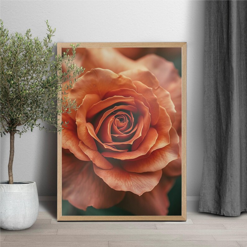 Rustic Orange Rose Digital Art Set - Etsy