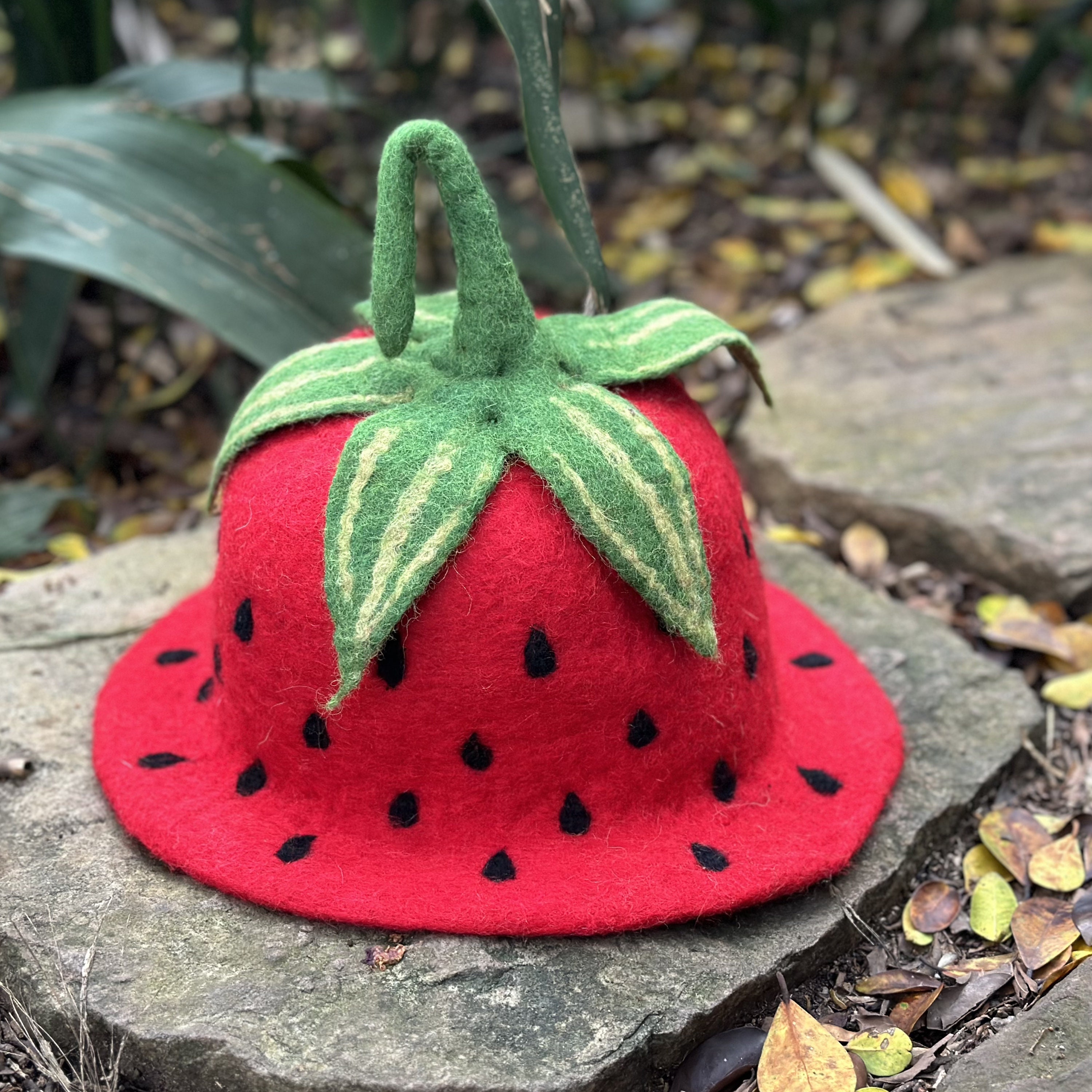 Fruit Wool Felt Hat, Strawberry Hat, Pineapple Hat, Watermelon Hat ...