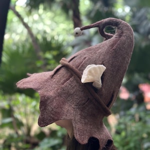 Wool Felted Witch Hat: Brown Wizard Costume, Renaissance Faire Outfit ...