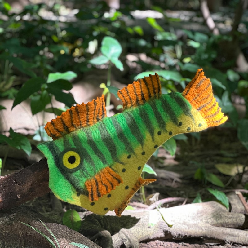 Adult Fish Costume - Etsy