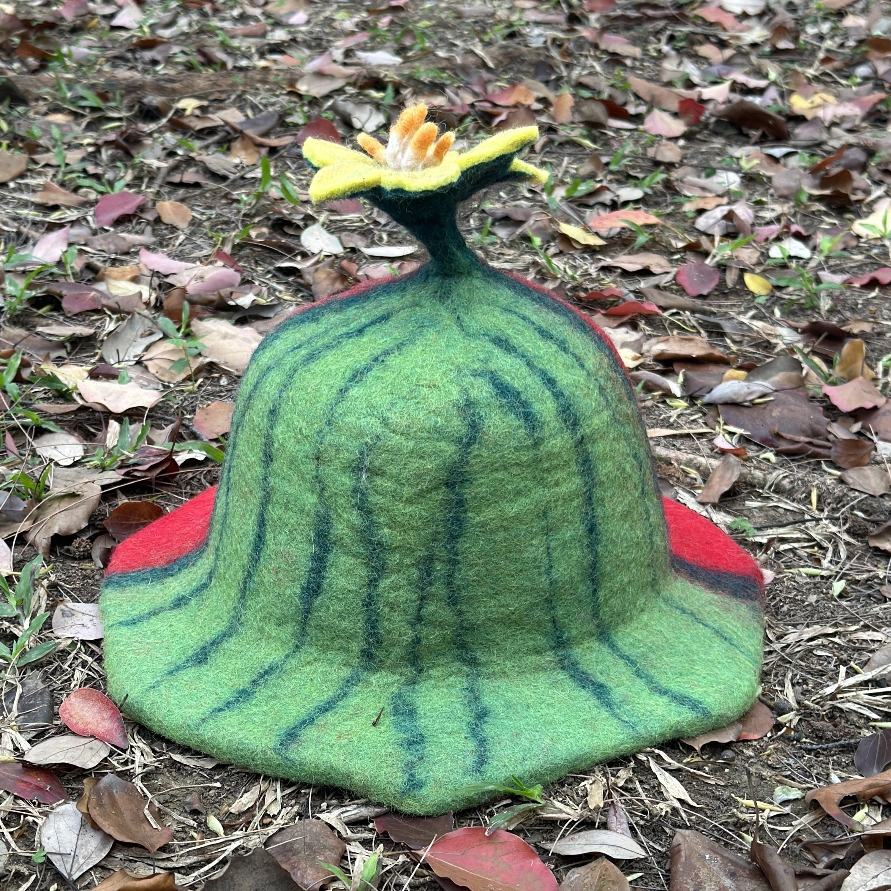 Handmade Wool Felt Fruit Hat: Funny Party/sauna Hat (56-60CM) - Etsy