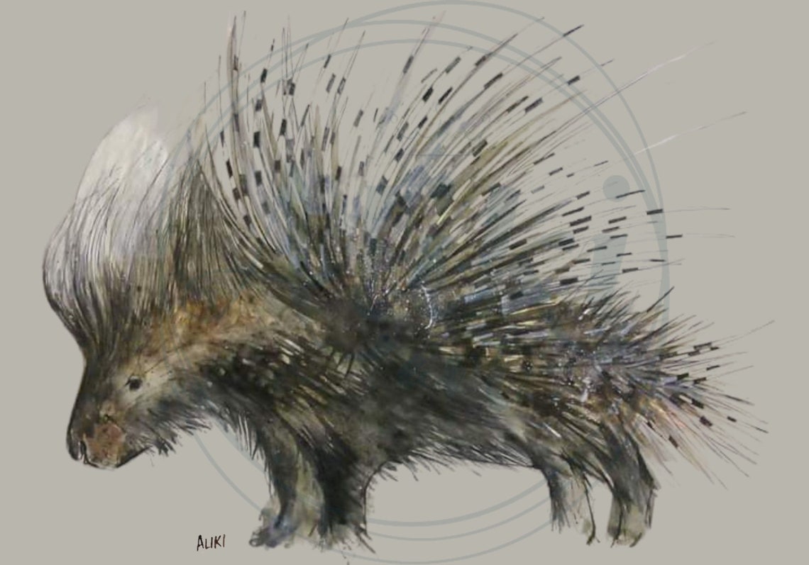 Watercolour Porcupine Printable Greeting Card - Etsy
