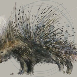 Watercolour Porcupine Printable Greeting Card - Etsy