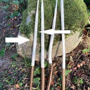 Handcrafted Celtic Hazelwood Wand Magical Divination Tool for Wisdom ...