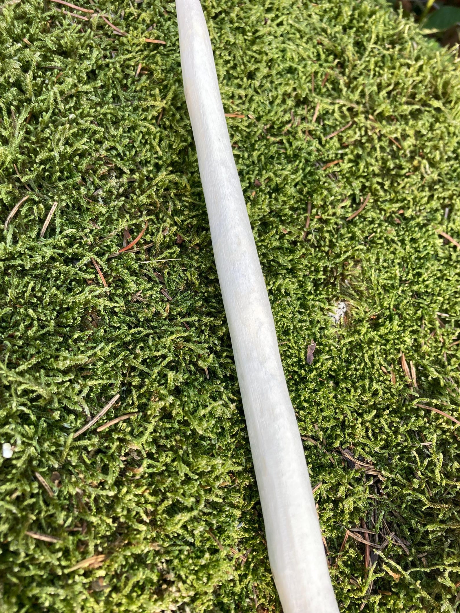 Handcrafted Celtic Hazelwood Wand Magical Divination Tool for Wisdom ...