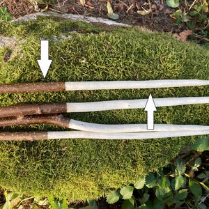 Handcrafted Celtic Hazelwood Wand Magical Divination Tool for Wisdom ...