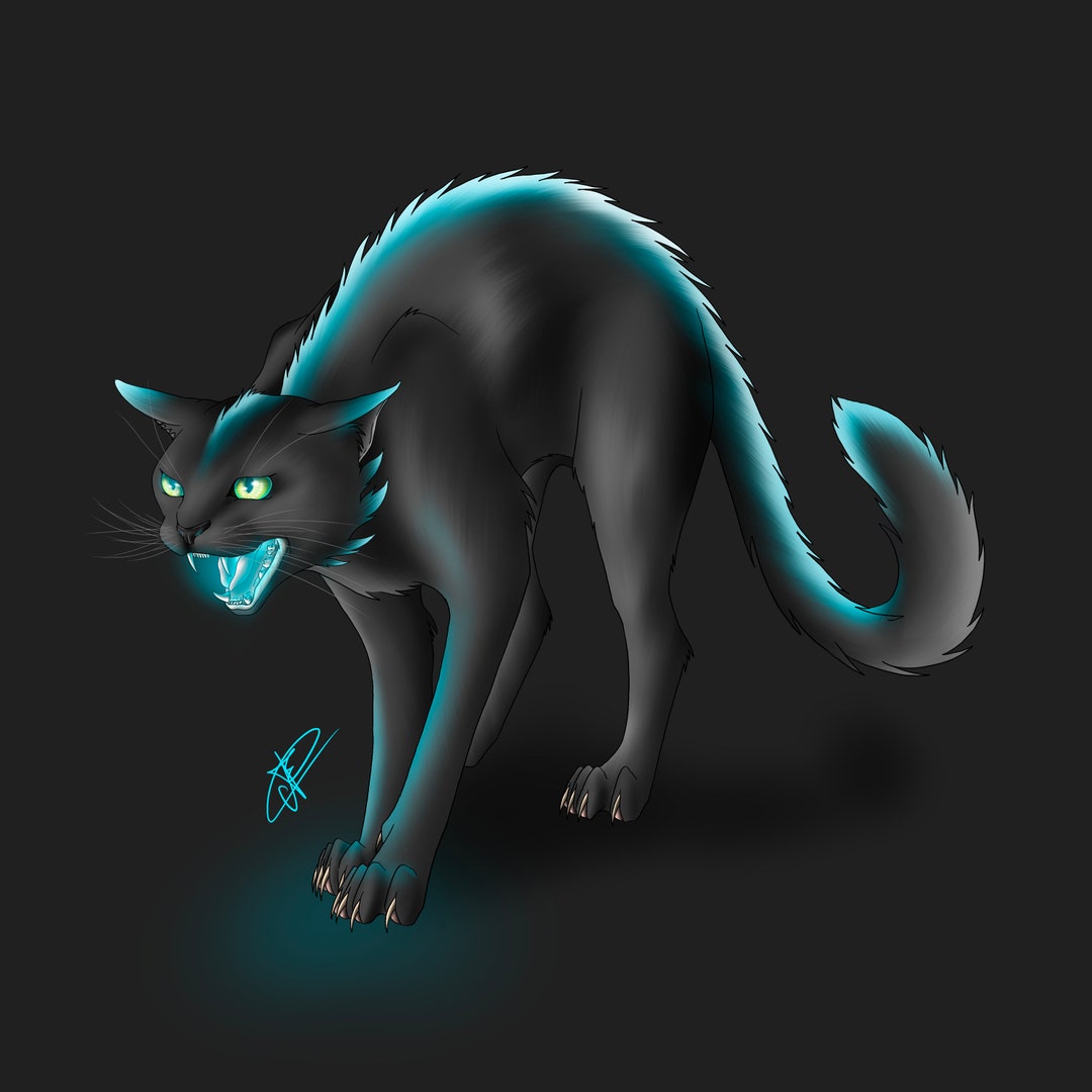 Toothless Cat - Etsy