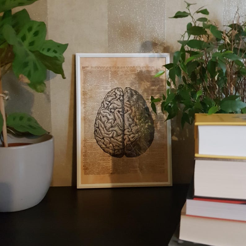 Human Anatomy Ink Illustration of Brain Medicine Medical Vintage ...