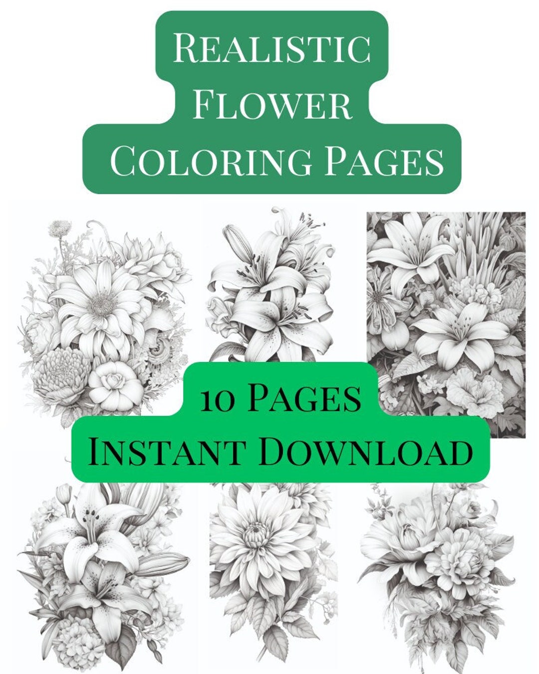 Realistic Flower Coloring Pages, Botanical Coloring Page, Instant ...