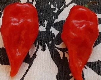 Hot Pepper Seeds Scorcher Pepper Ghost Screaming Red 15 Seeds - Etsy