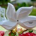 Brandani Italian Octopus Leaf White Porcelain Bamboo Serving Dish ...