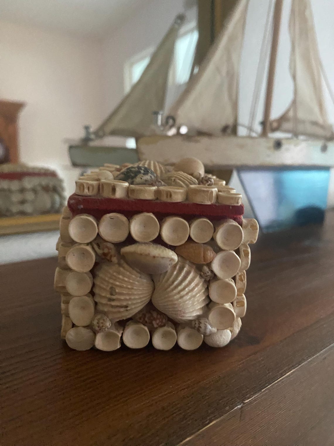 French Vintage Box With Seashells - Etsy